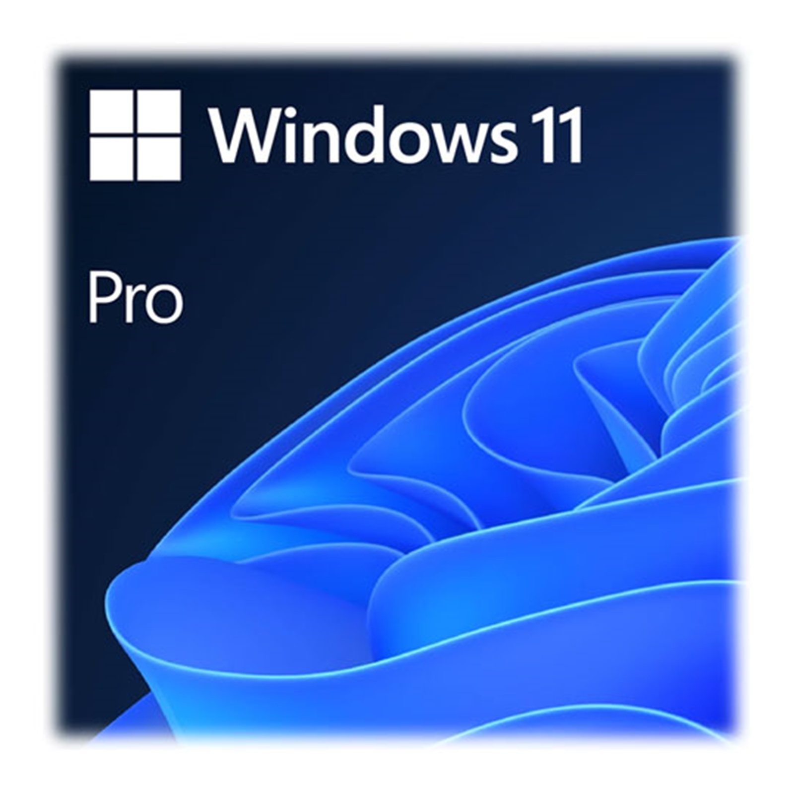 Microsoft Windows 11 Pro 64bit All Language ESD - DigiDirect